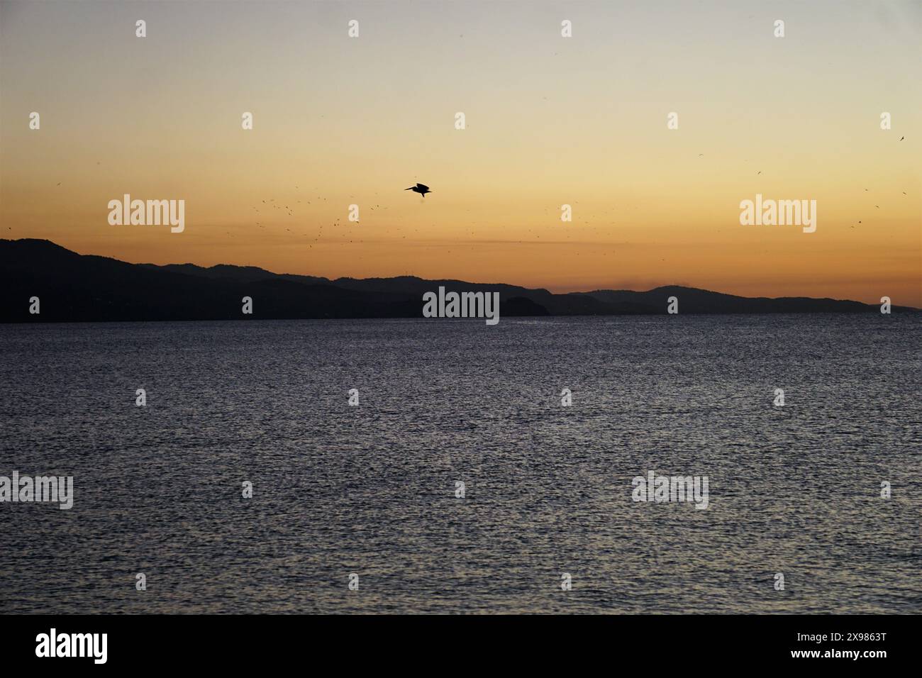 Jamaican beach at sunset Stock Photo - Alamy