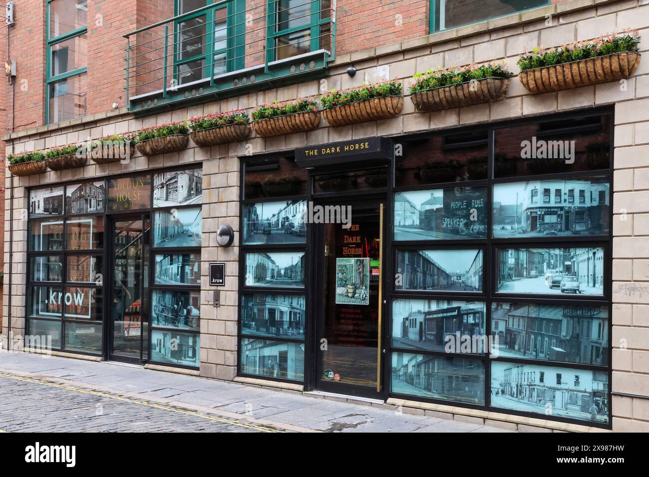 Dark horse belfast 2024 hi-res stock photography and images - Alamy