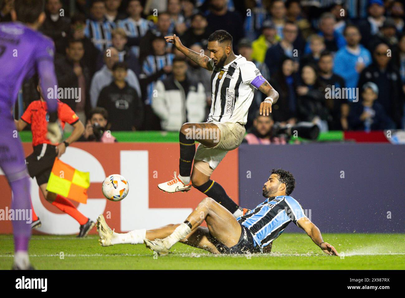 Cerruto hi-res stock photography and images - Alamy