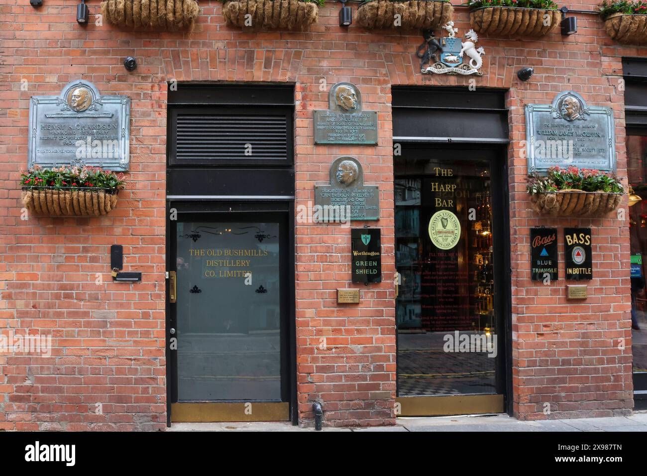 Harp bar belfast 2024 hi-res stock photography and images - Alamy