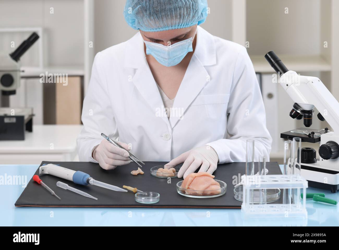 Quality control. Food inspector examining meat in laboratory Stock ...