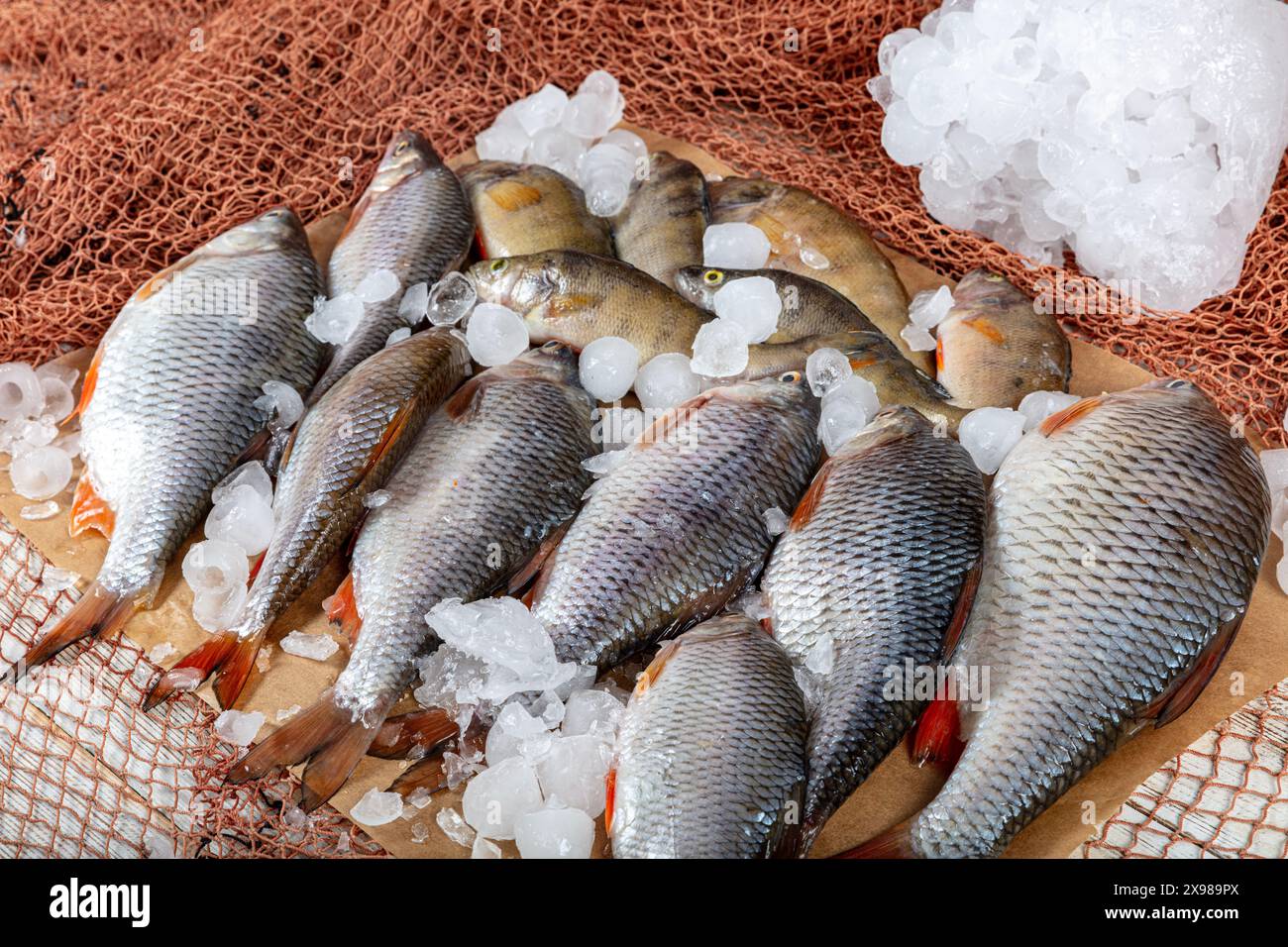 Freshwater fish carp are sold at the fishmonger's stall. Raw Greas carp ...