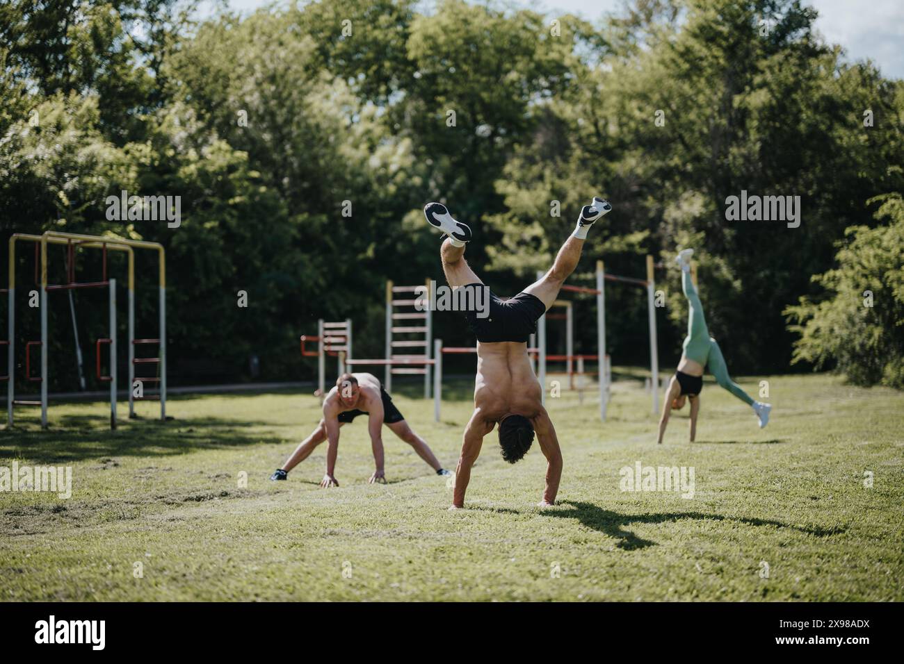 Group of people practicing calisthenics in nature park on sunny day ...