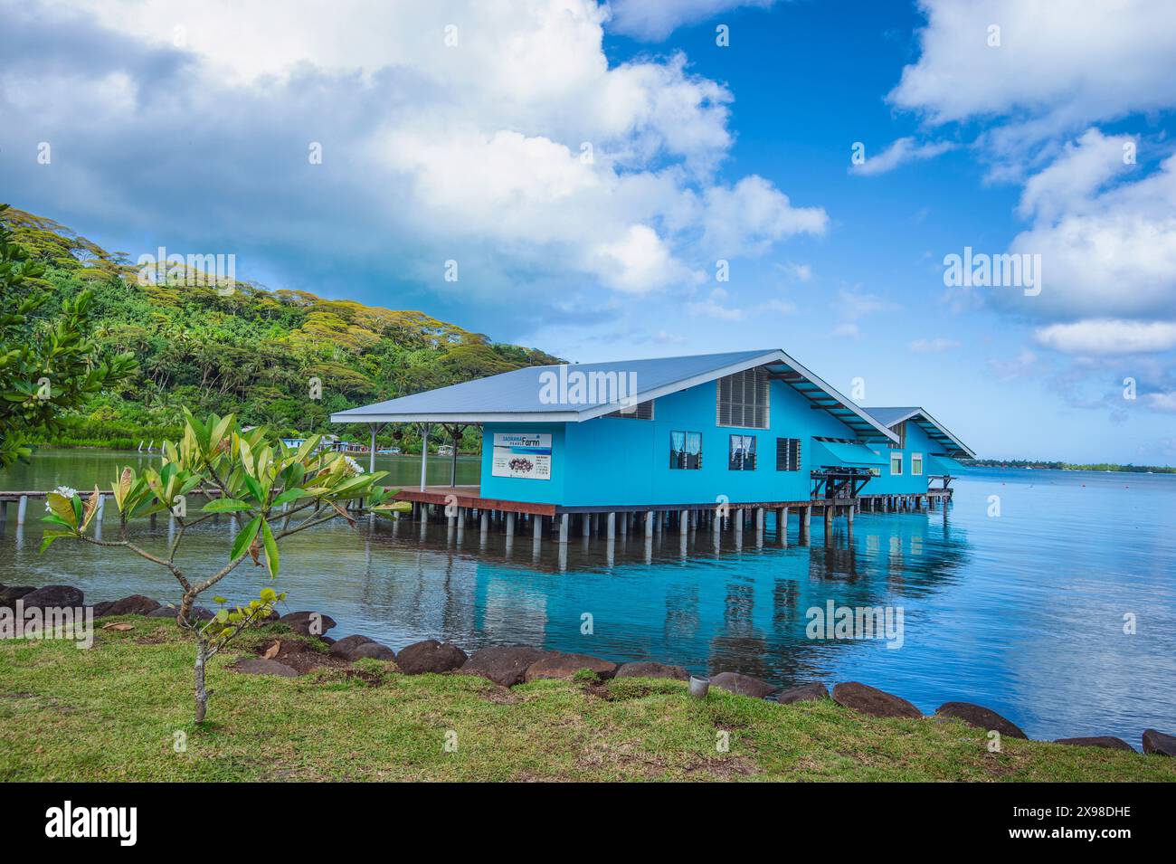 Iaorana Pearl Farm is a tourist attraction on Taha'a Island, French ...