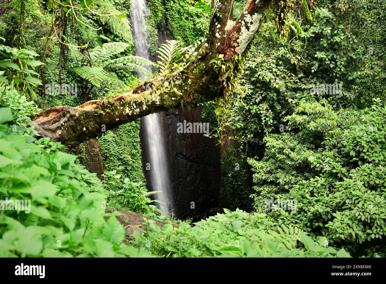 View of a waterfall, a renewable water resource located at the foot of ...