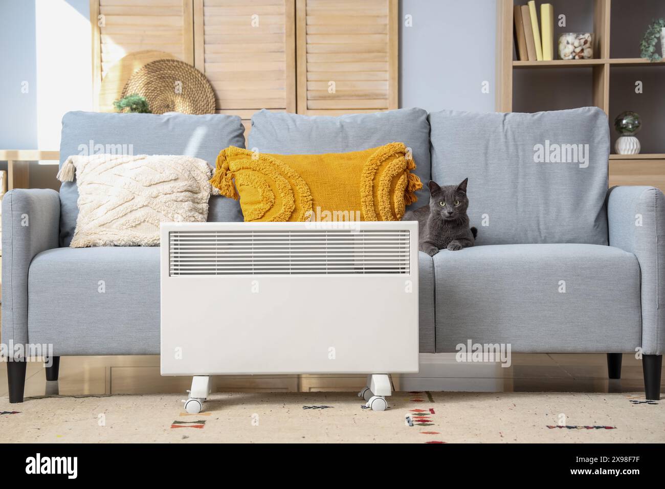Cute cat on sofa and radiator at home Stock Photo - Alamy