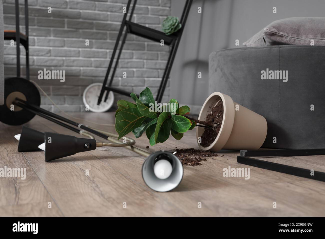 Overturned flowerpot with lamp on floor in messy room, closeup Stock ...