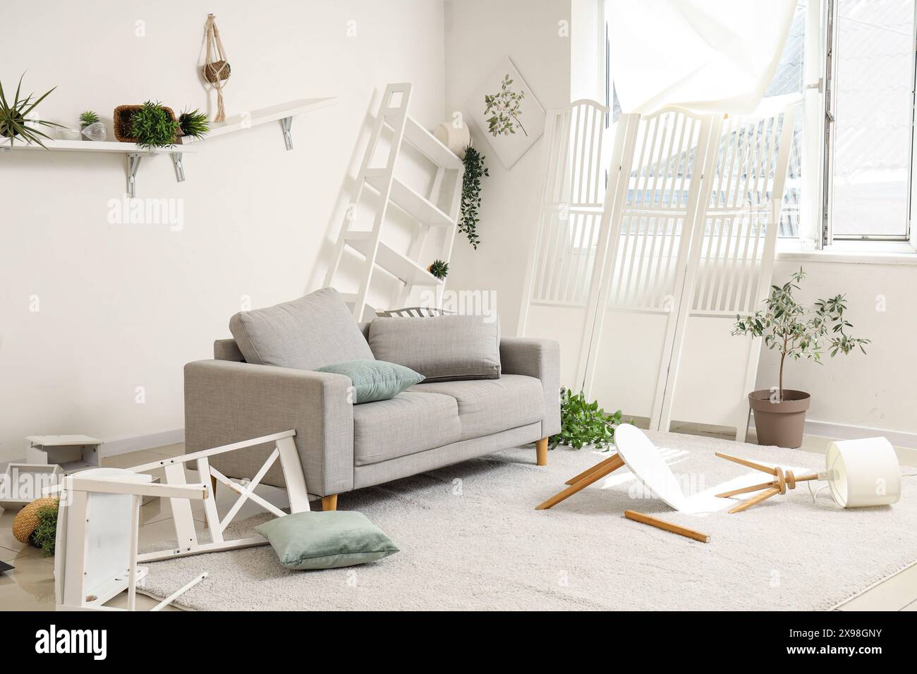 Interior of messy living room with sofa, shelves and plants Stock Photo ...