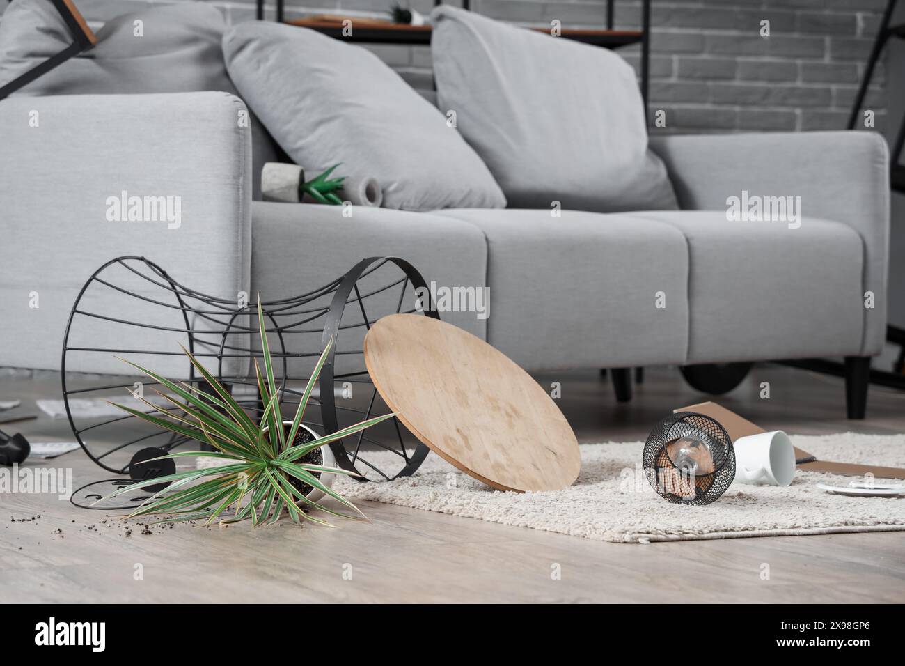 Overturned table with plant and lamp on carpet in messy living room ...