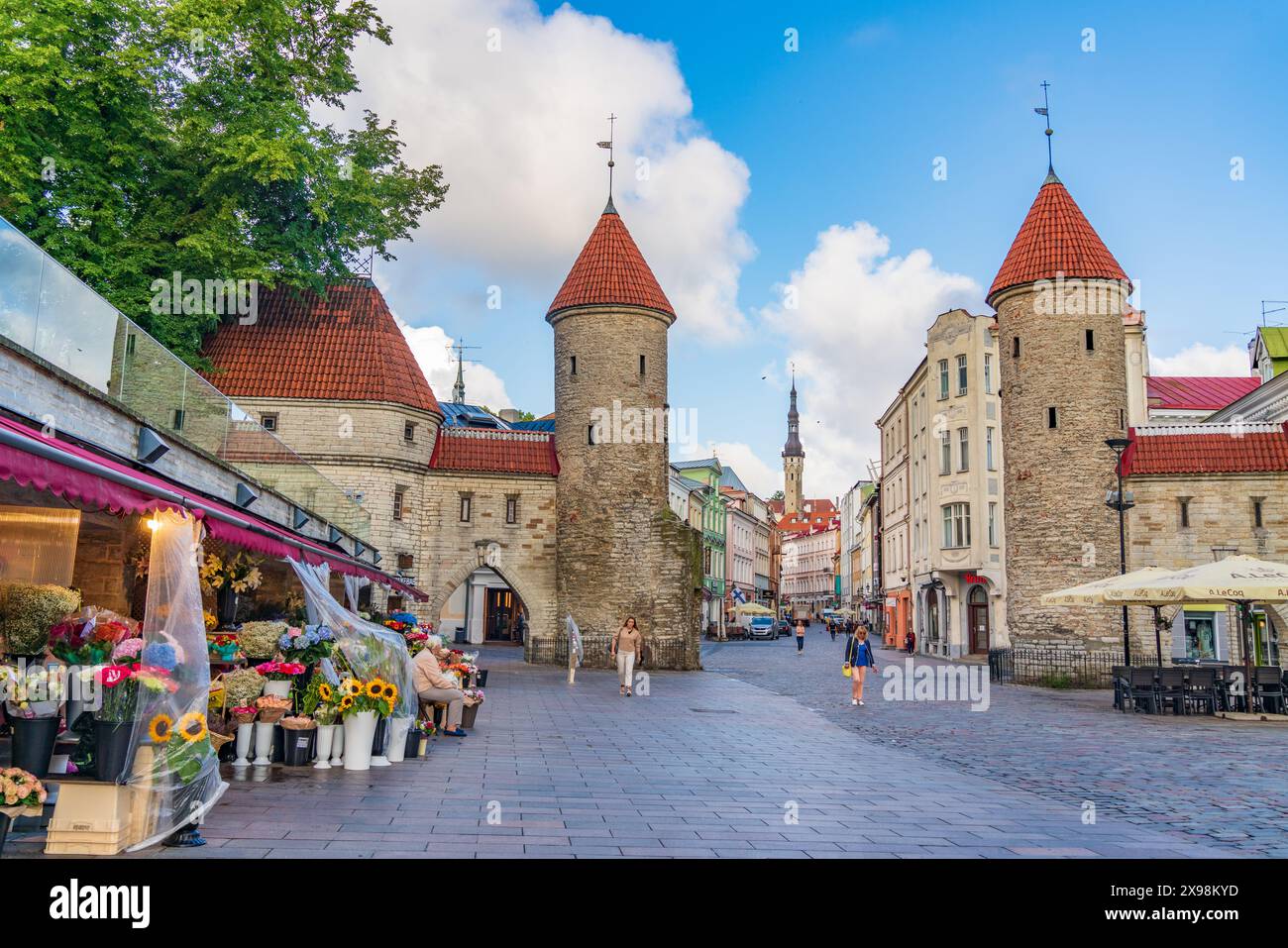 Estonia europe european hi-res stock photography and images - Alamy