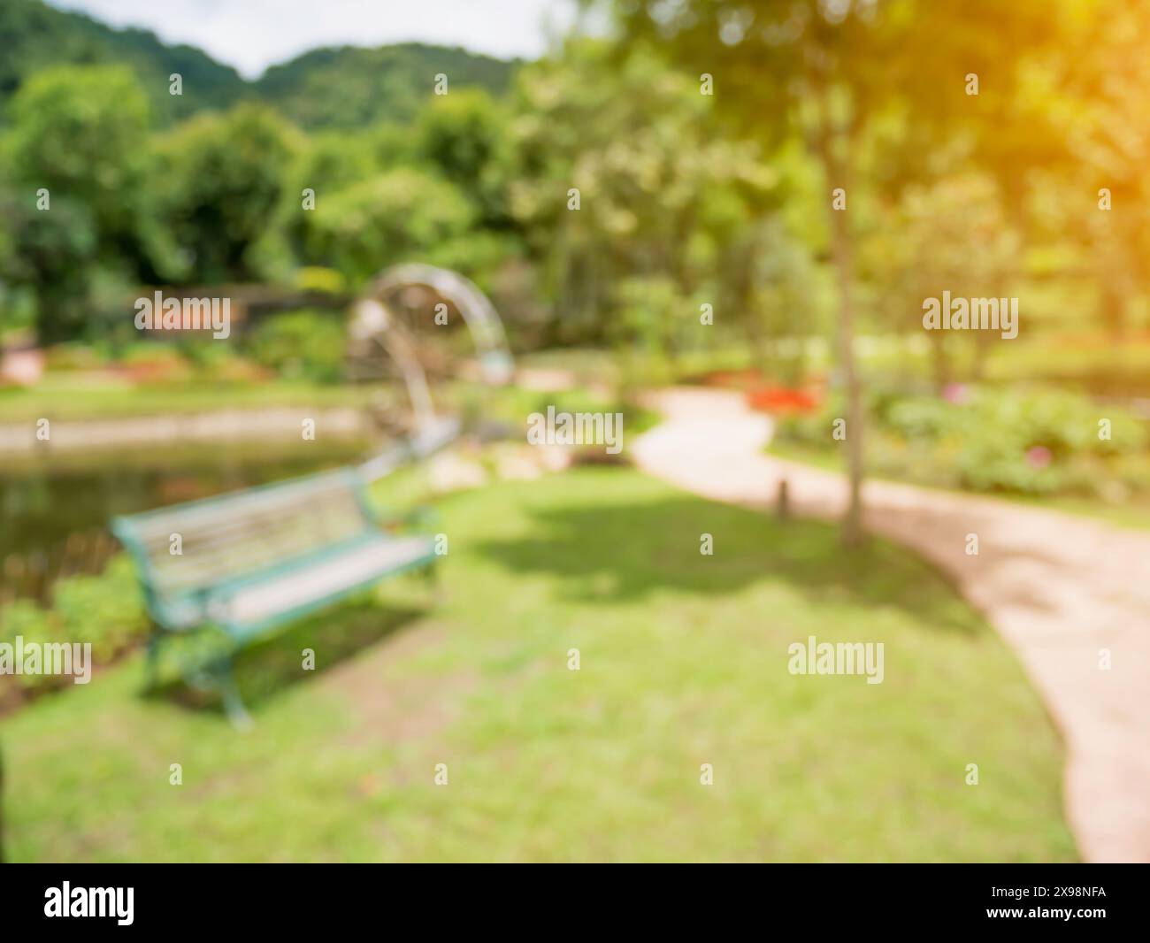 blur bench in the park summer time natural background Stock Photo - Alamy
