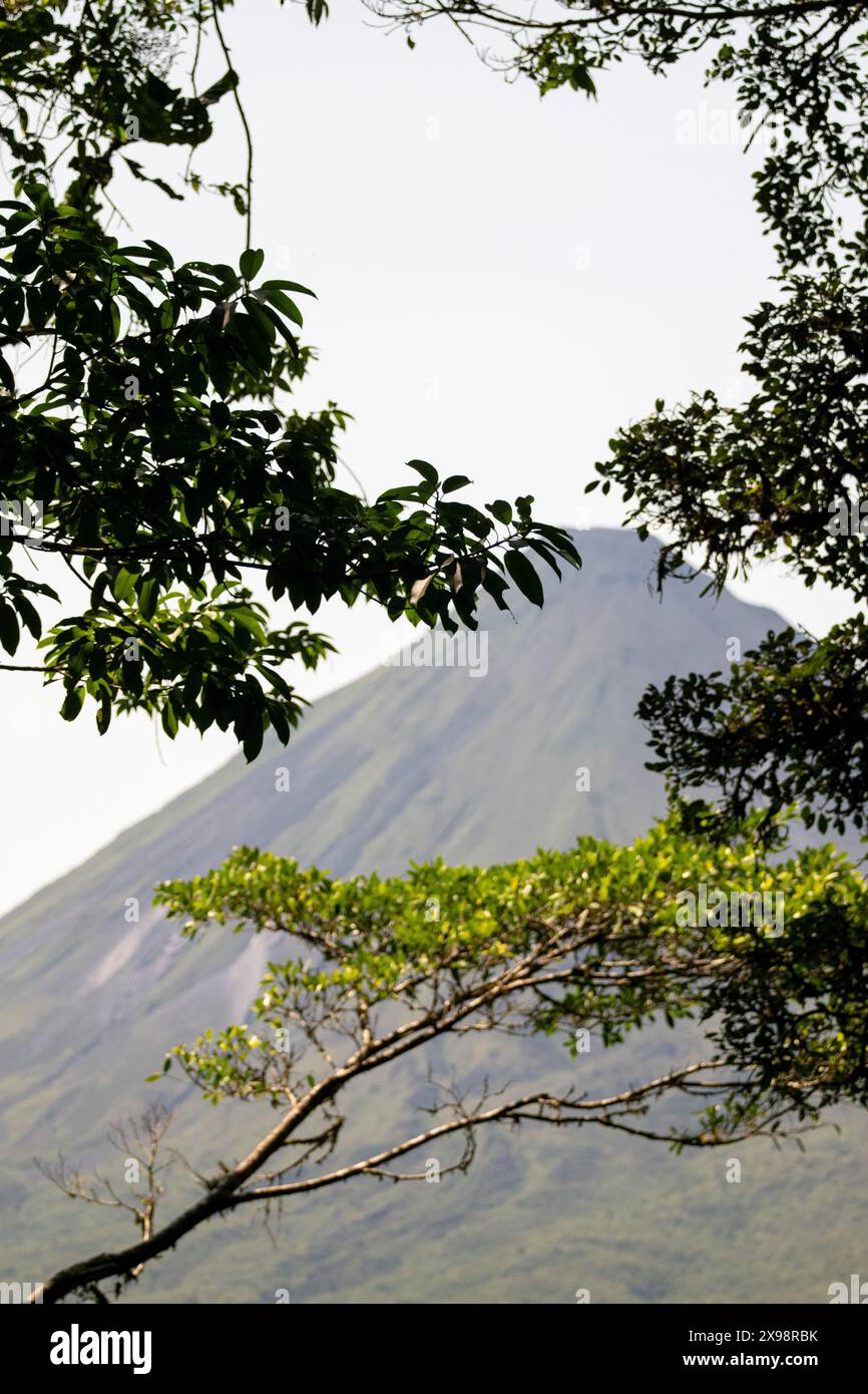 The Arenal Volcano in La Fortuna Costa Rica from the Jungle Canopy ...