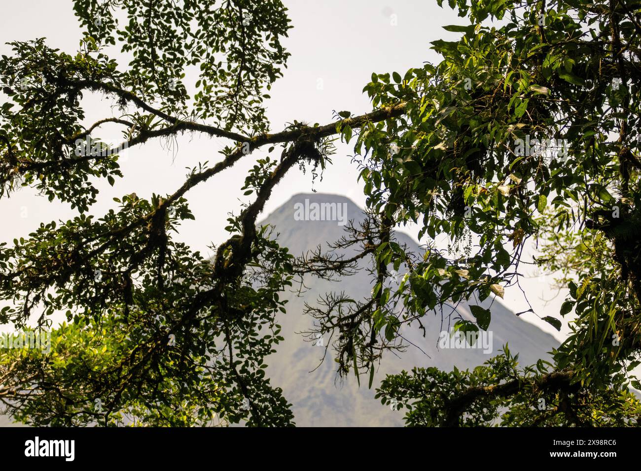 The Arenal Volcano in La Fortuna Costa Rica from the Jungle Canopy ...