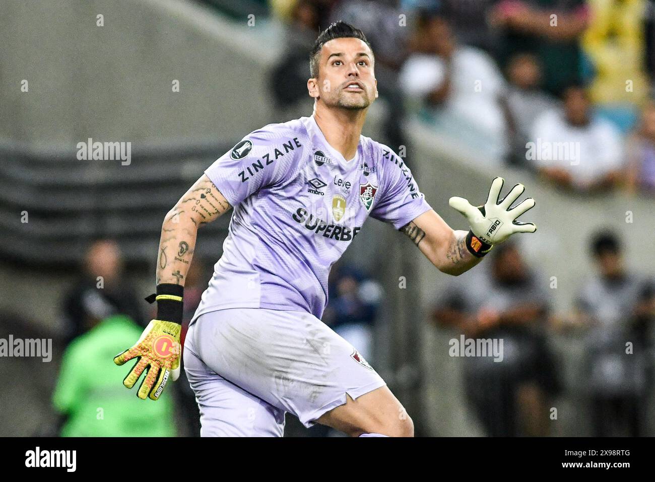 Rio, Brazil - may 29, 2024, Fabio during match Fluminense (BRA) vs ...