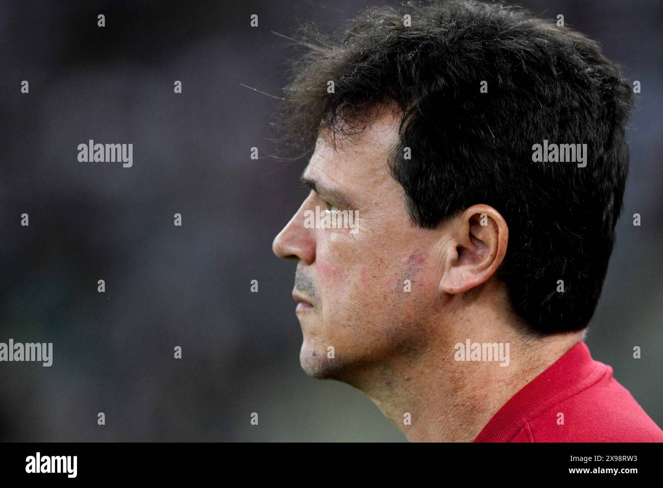 Rio, Brazil - may 29, 2024, Fernando Diniz during match Fluminense (BRA ...