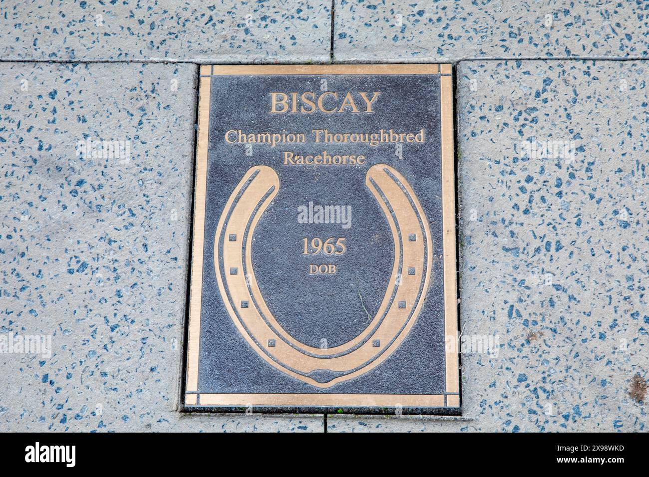 Scone town in New South Wales is the horse racing capital of Australia ...