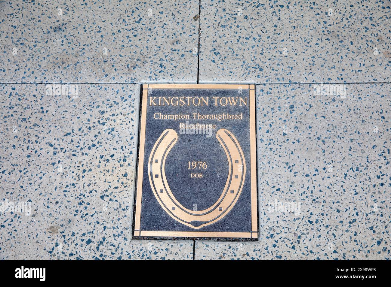 Kingston town horse hi-res stock photography and images - Alamy