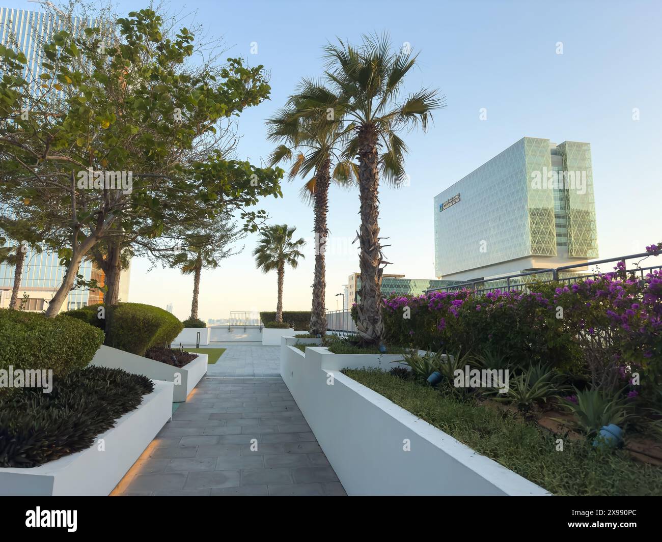 Abu Dhabi, United Arab Emirates - May 25, 2024: Palm trees and ...