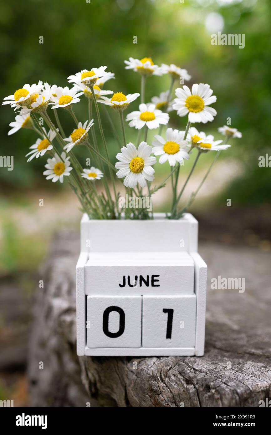Hello summer. daisies in a calendar vase with the inscription June 1 on ...