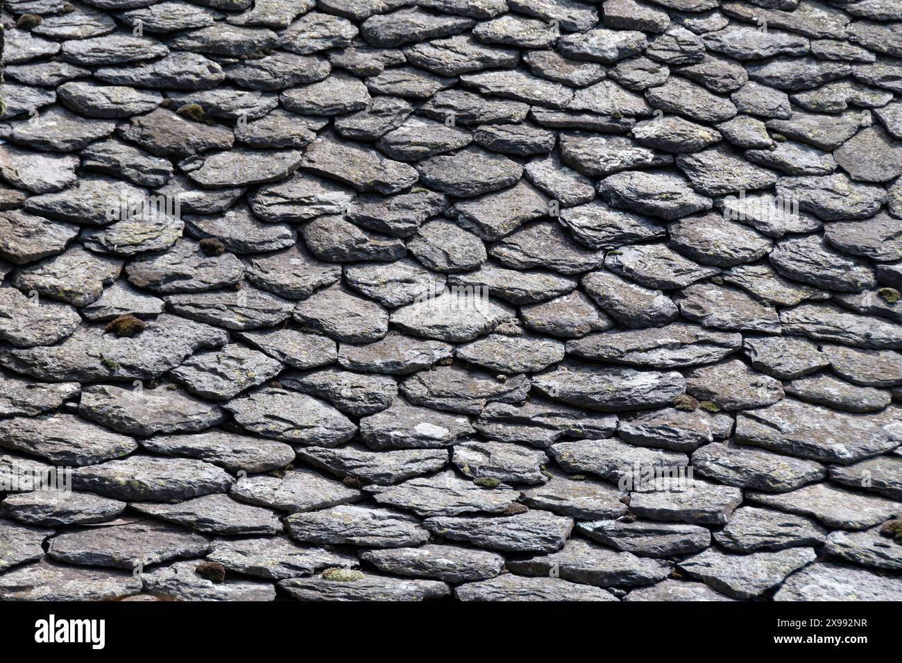 Close-up of an old roof covered with lauzes in Auvergne, France. Lauze ...