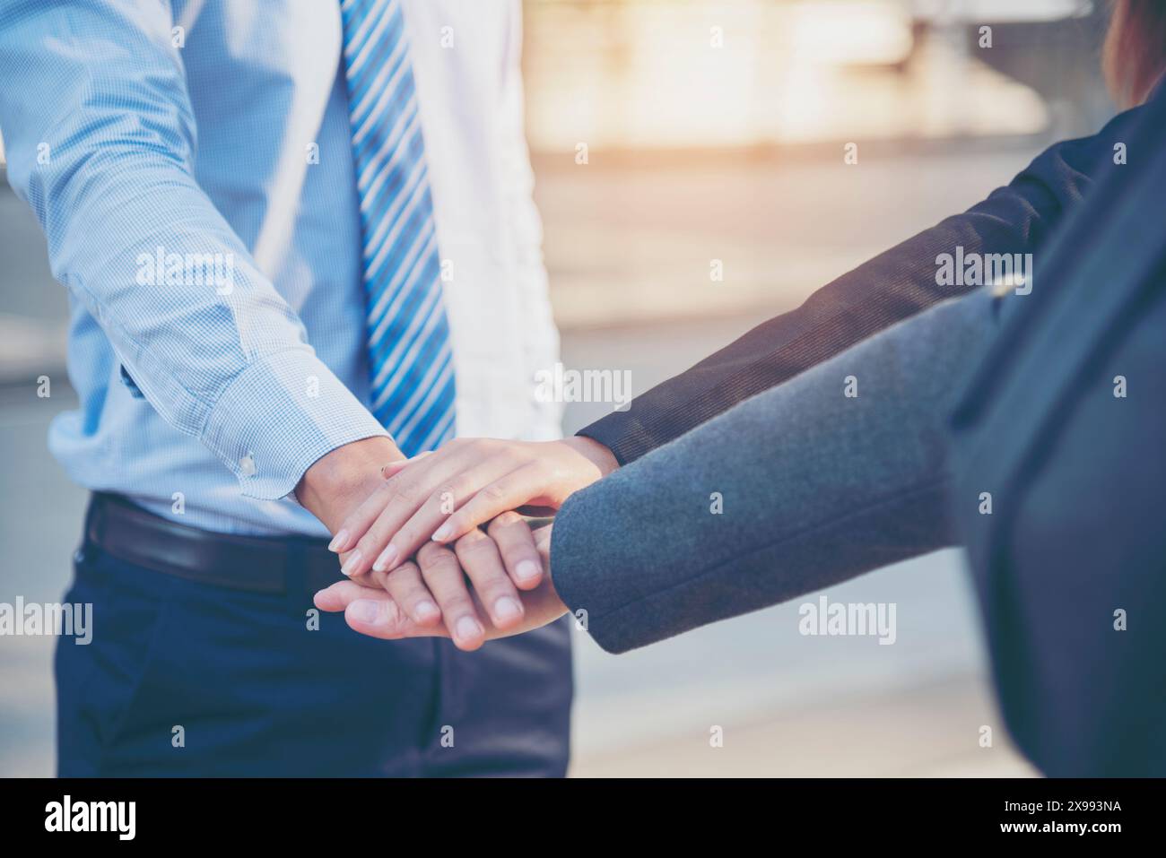 Trust Promise Concept. Honest Lawyer Partner with Professional Team ...
