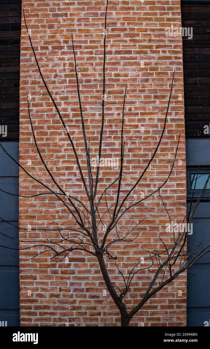 Old brick wall without cement hi-res stock photography and images - Alamy