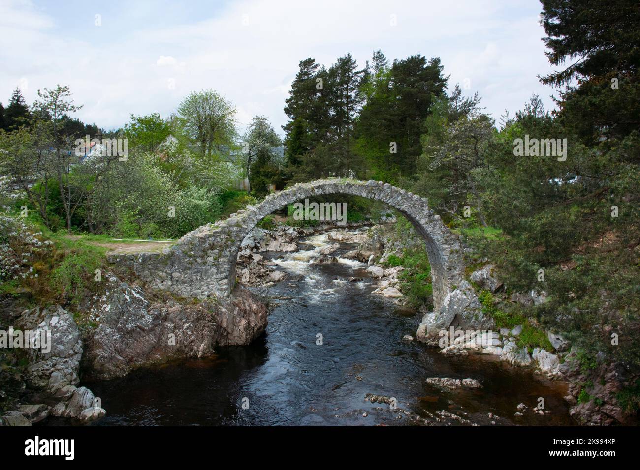 The old packhorse bridge in Carrbridge Stock Photo - Alamy