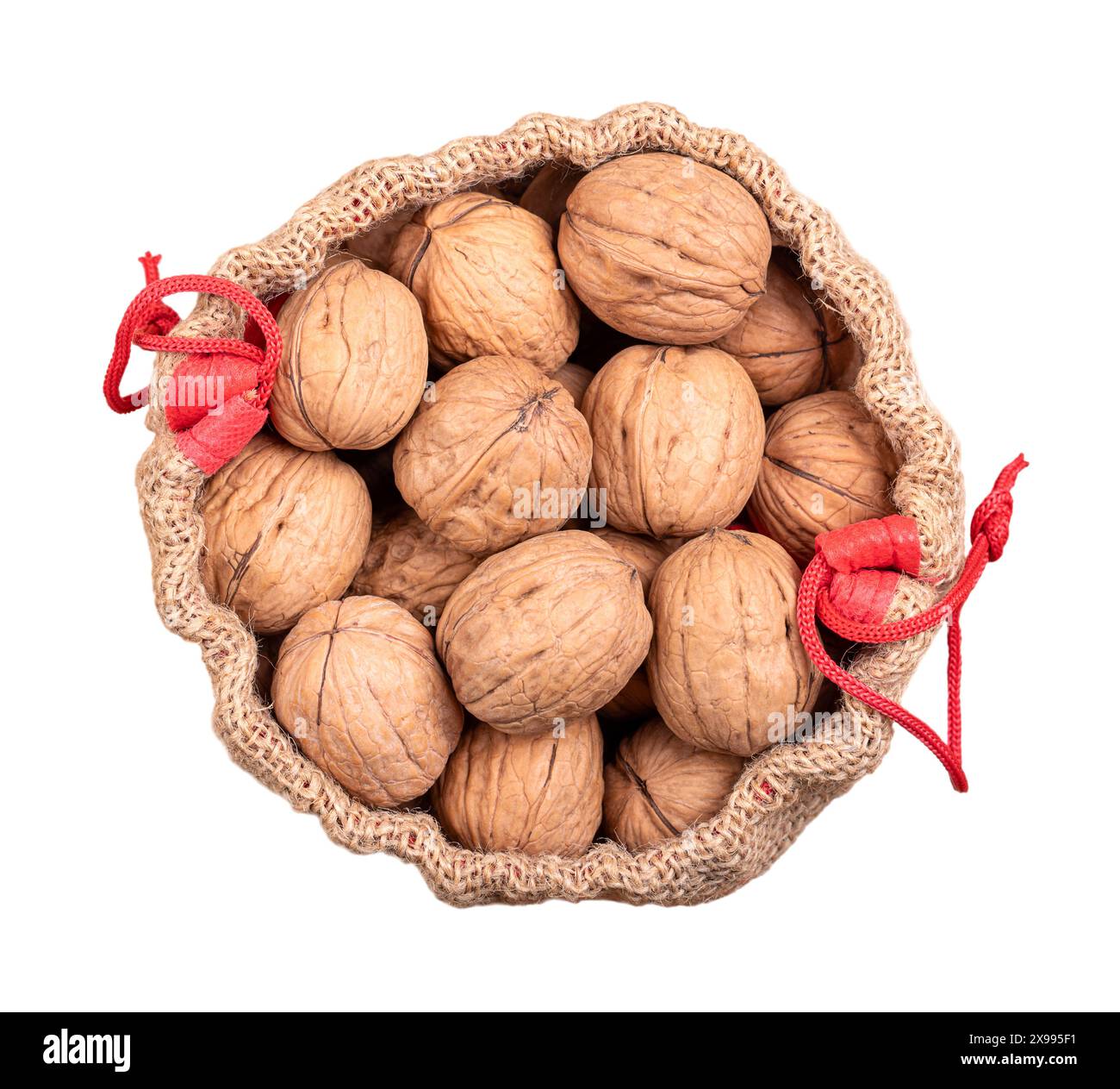 Walnuts in their shells, in an opened gunny sack. Unshelled dried seeds of common walnut tree ...