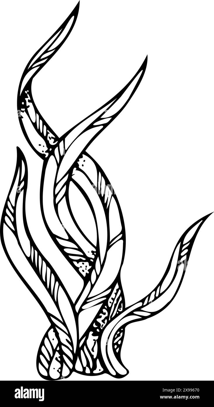 Ocean seaweed laminaria algae black and white Stock Vector Image & Art - Alamy