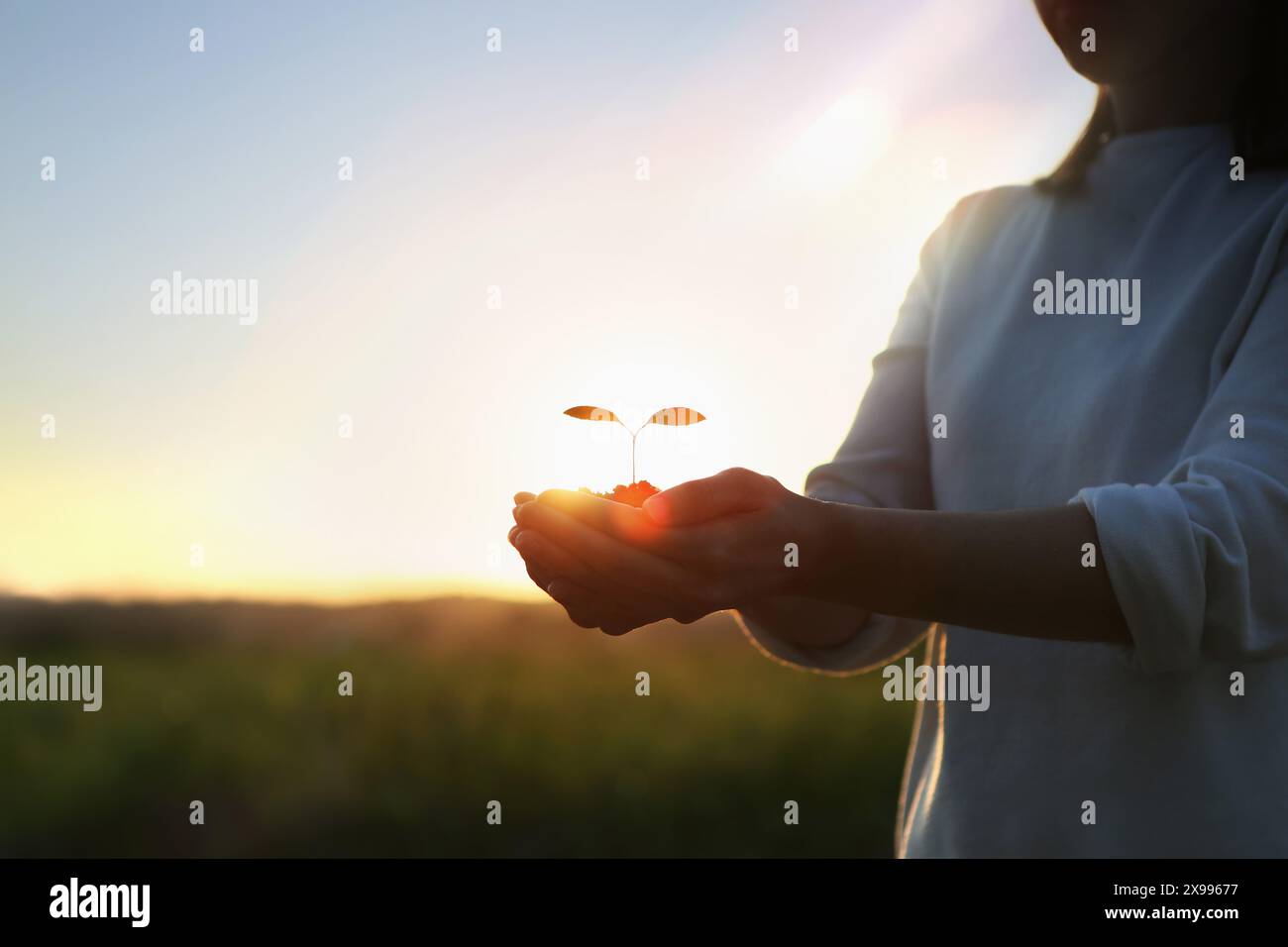 Beautiful nature, soil and seeds in farmer's hands, fresh crop sprouts ...