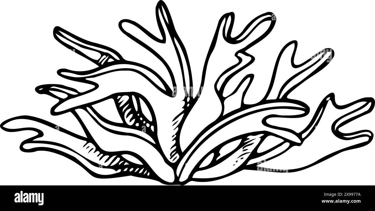 Line pond Cut Out Stock Images & Pictures - Alamy