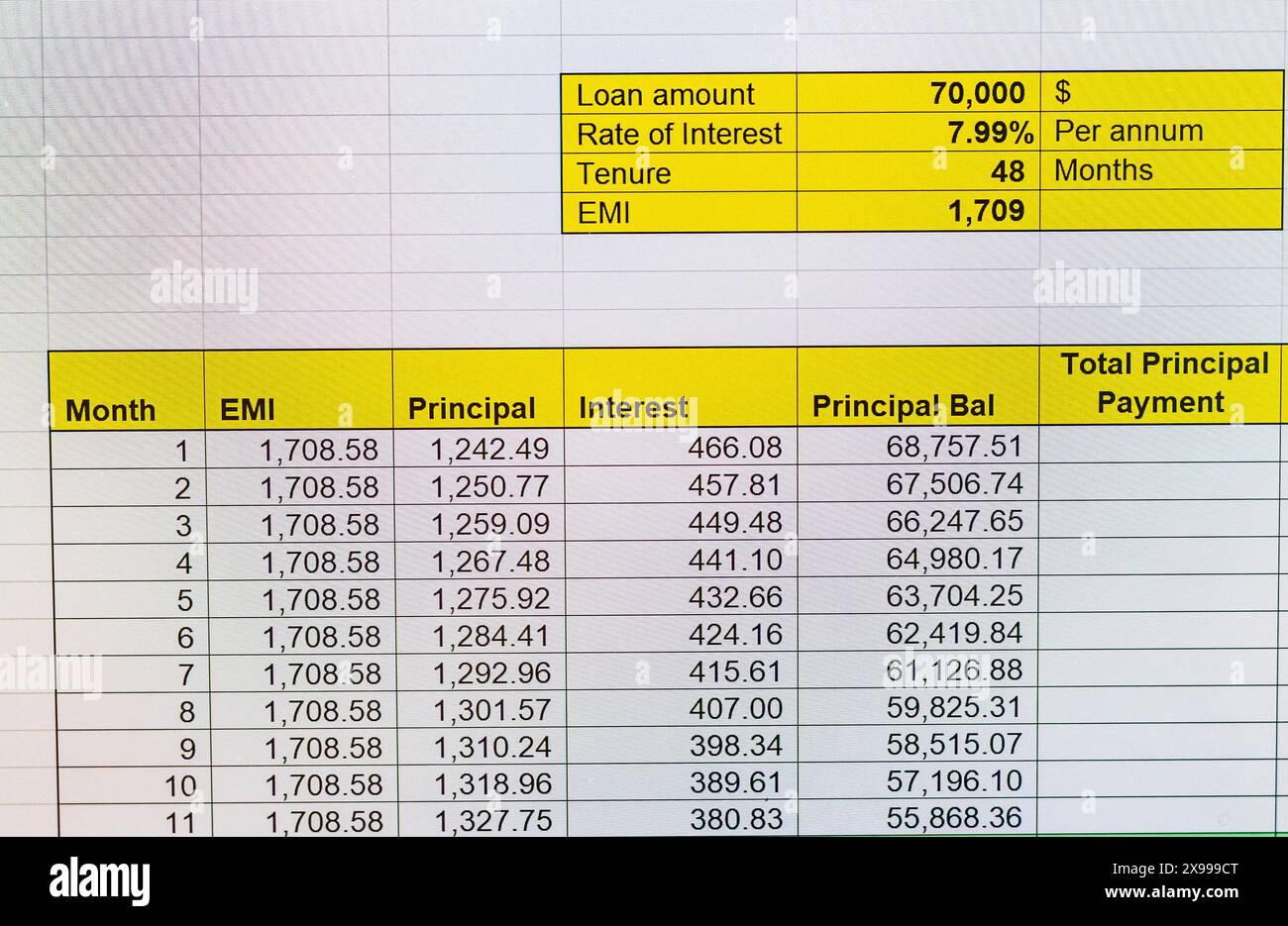Shot of an excel sheet on computer screen showing bank loan ...