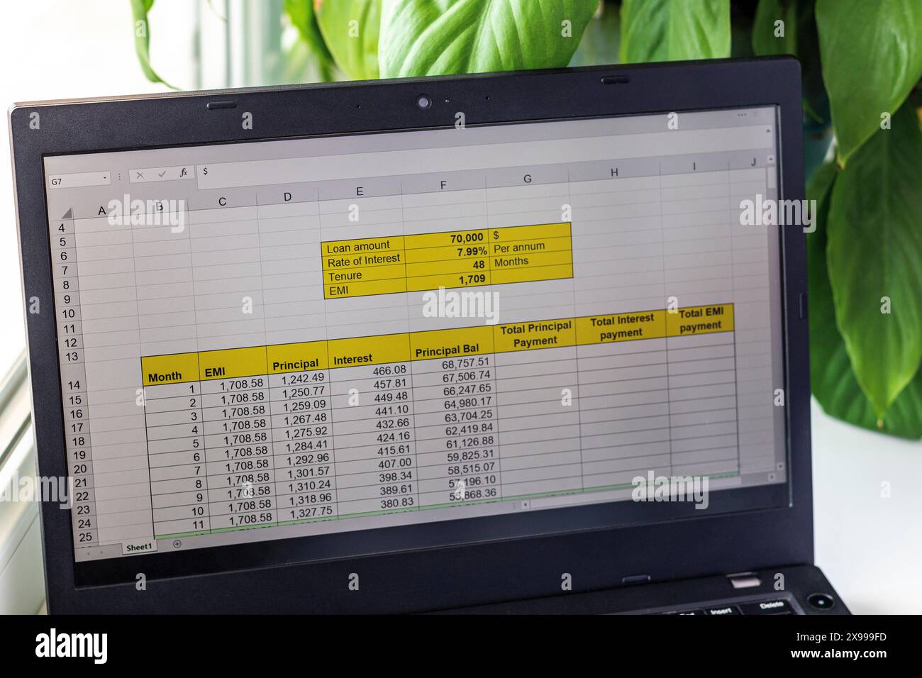 Shot of an excel sheet on computer screen showing bank loan ...