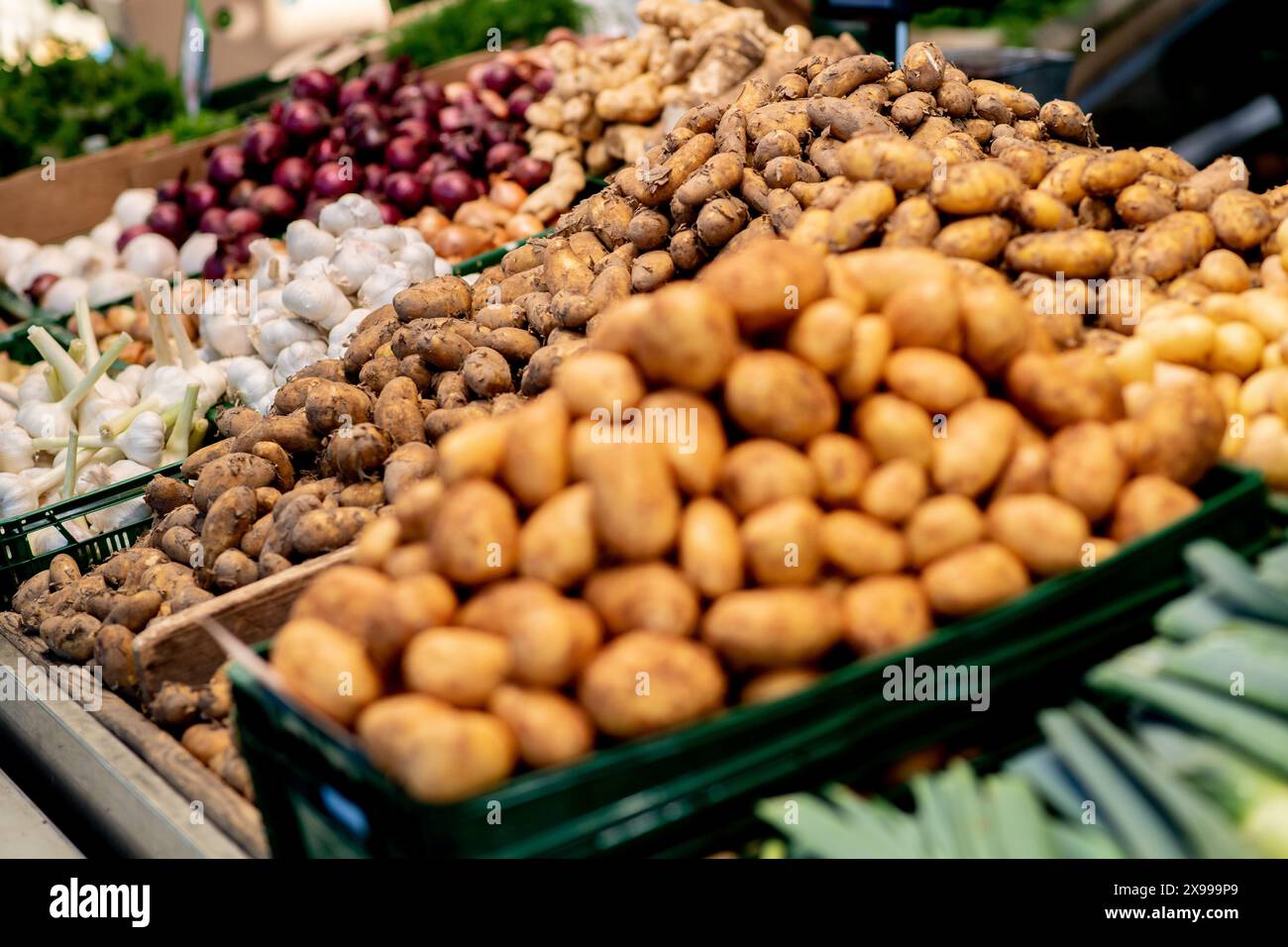 Oldenburg, Germany. 30th May, 2024. Numerous potatoes of different ...