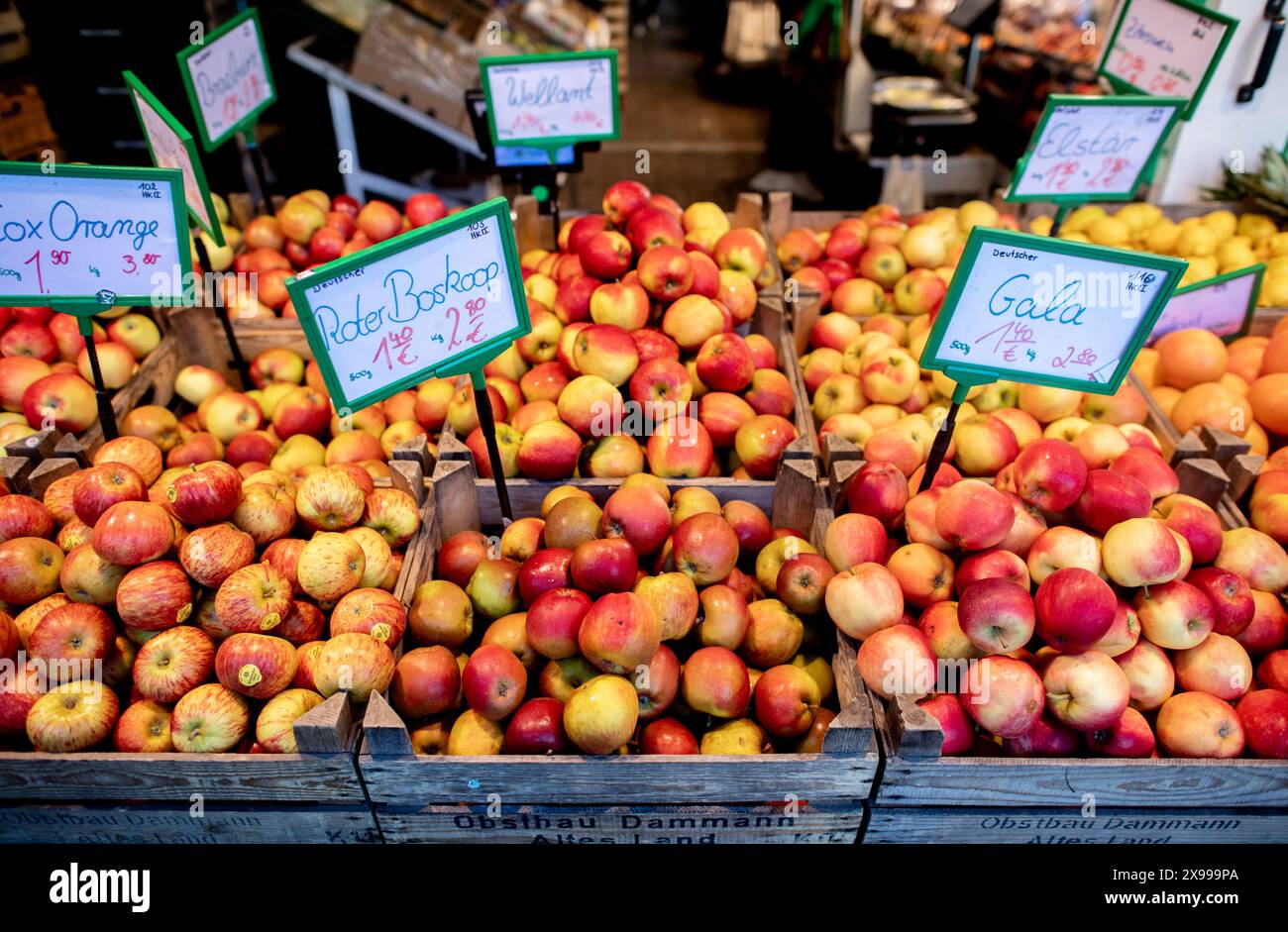 Oldenburg, Germany. 30th May, 2024. Numerous apples of different ...