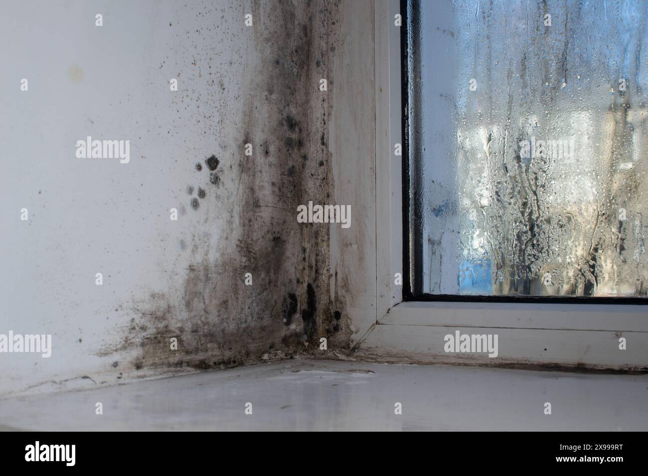 mold on the fogged window Stock Photo - Alamy