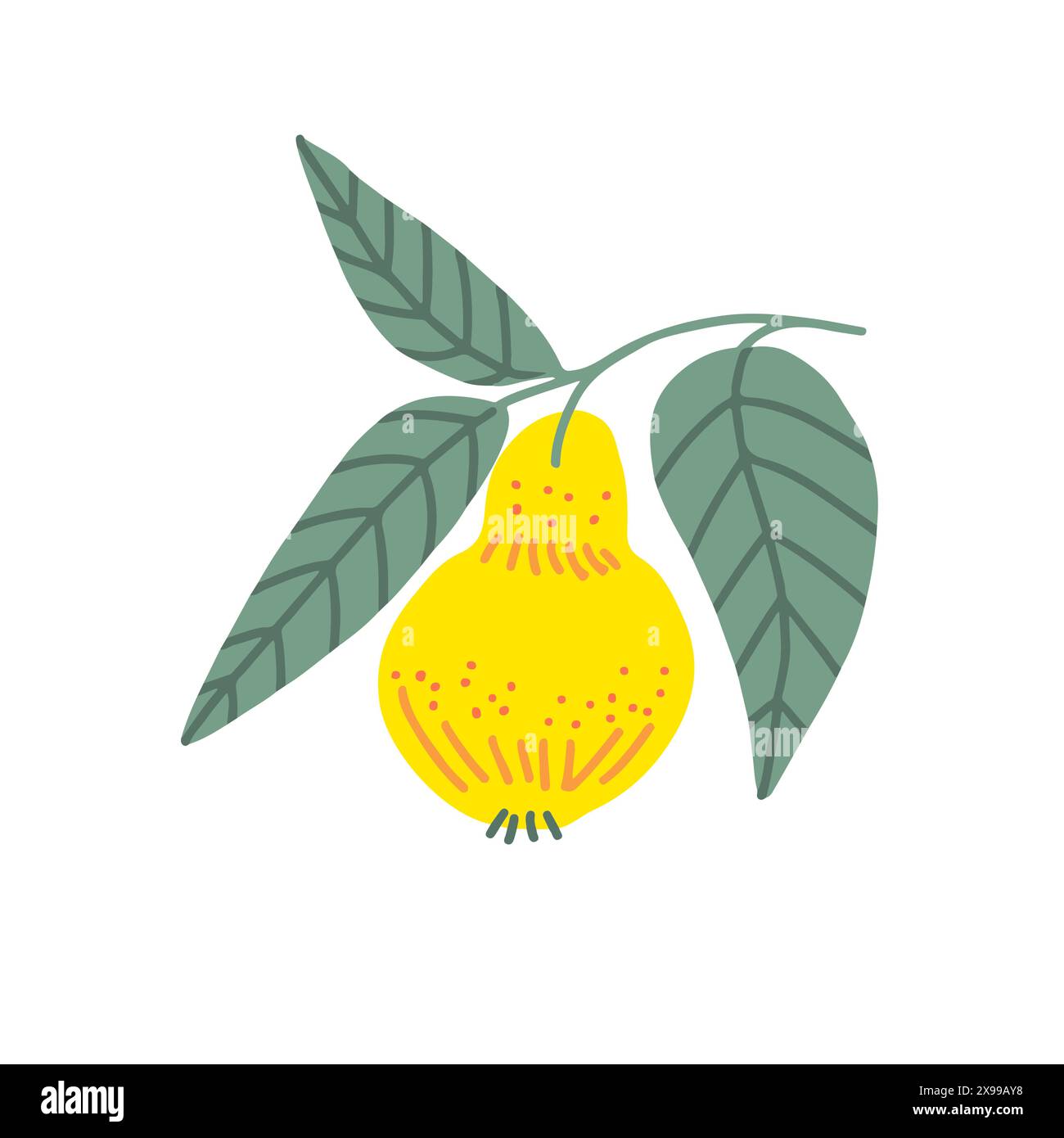 Colorful pear doodle illustration in a trendy style Stock Vector Image ...