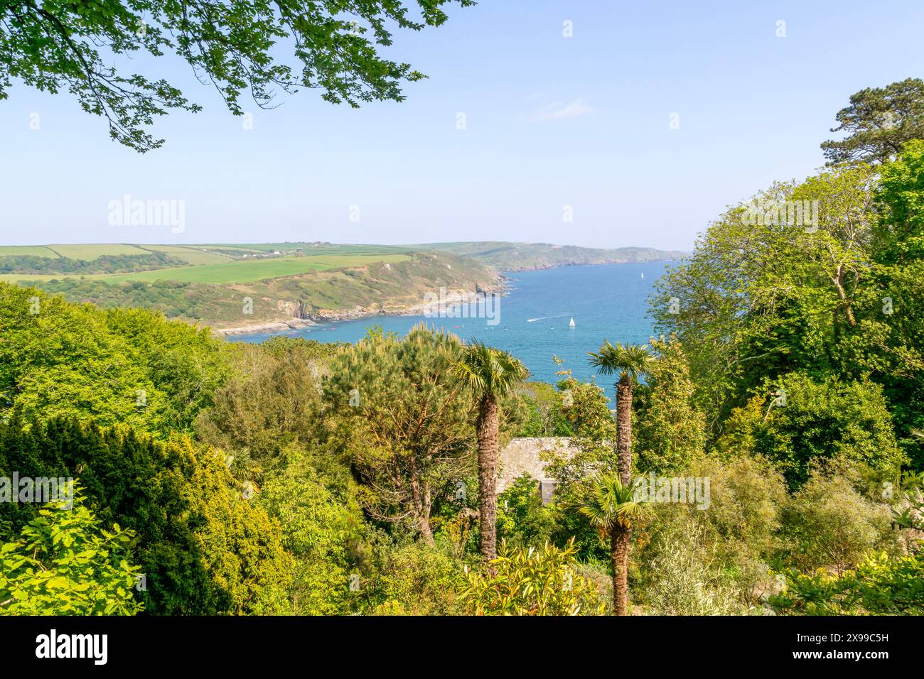 View of coast looking east towards Prawle Point from Sharpitor ...