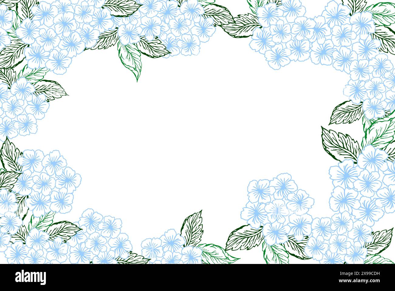 Spring floral horizontal banner with blue hydrangea flower. Line art ...
