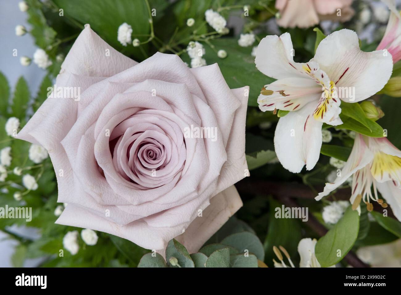 Table decor for a formal event or a wedding, floral centerpiece featuring a large purple-pink ...