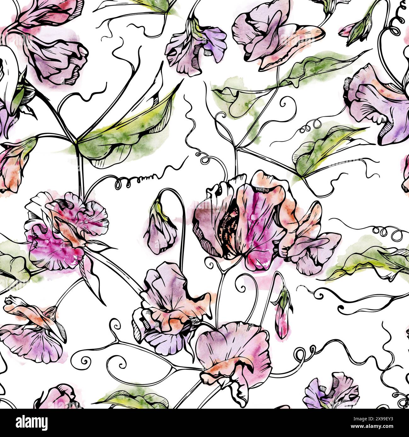 Hand drawn watercolor ink illustration botanical flowers leaves. Sweet ...