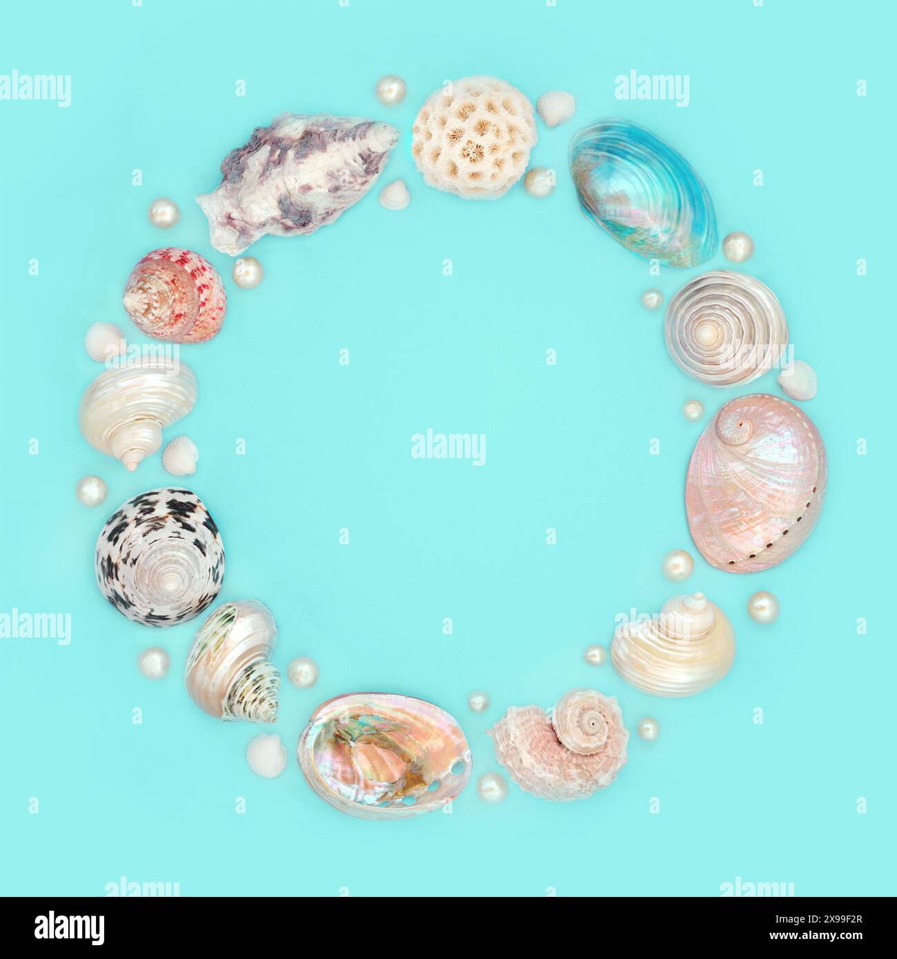 Sea Shell And Pearl Abstract Wreath Decoration On Pastel Blue Background Large Collection Of