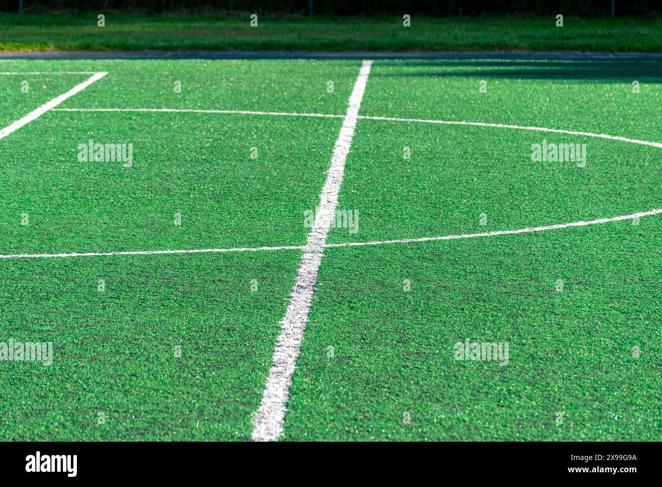 detail of the center line in a synthetic grass surface of a soccer ...