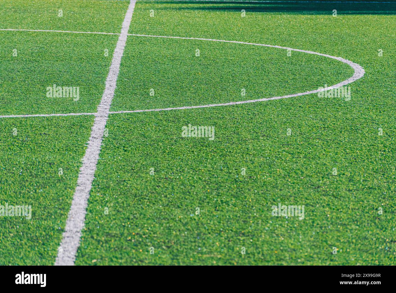 detail of the center line in a synthetic grass surface of a football ...