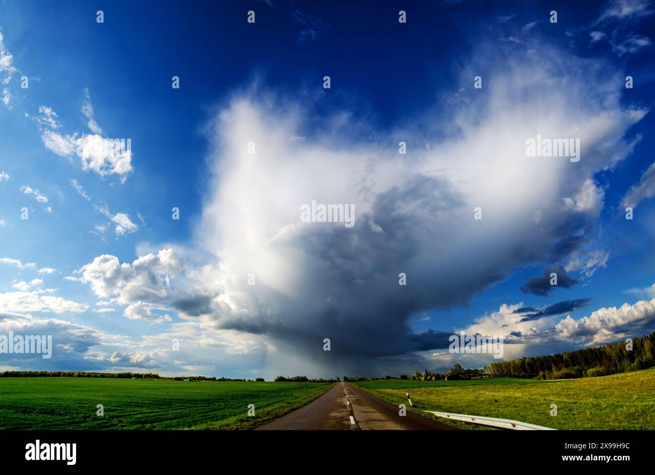 Cumulonimbus capillatus above fields. Anvil cloud Stock Photo - Alamy