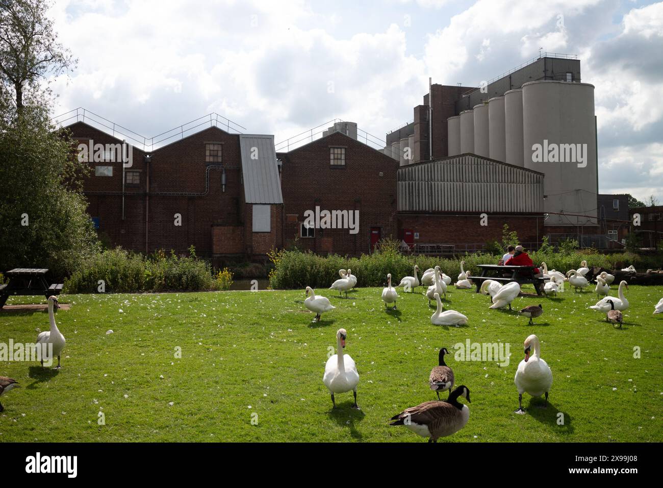 The Embankment, Wellingborough, Northamptonshire, England, UK Stock ...