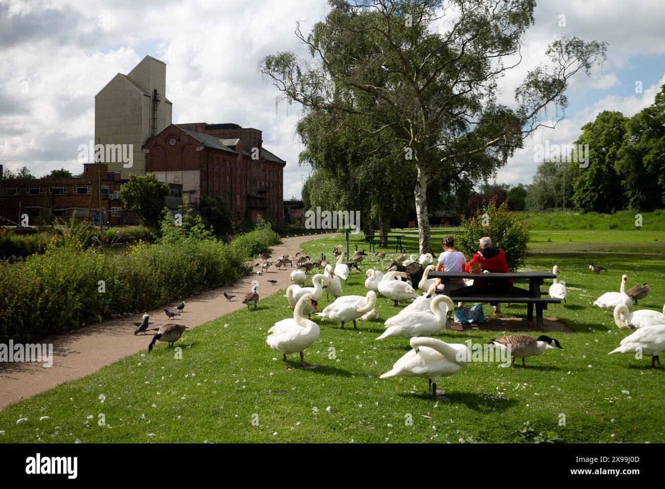 The Embankment, Wellingborough, Northamptonshire, England, UK Stock ...