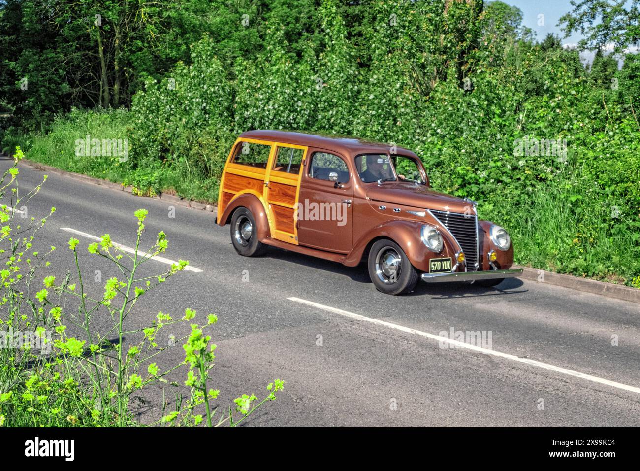1950's Ford Woody Hot Rod driving on an Enhlish country road Stock ...