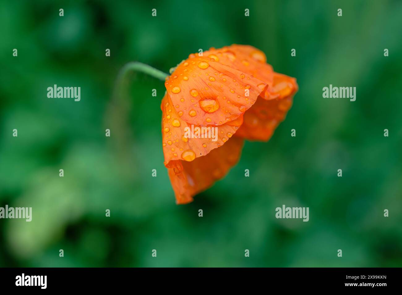 Unten drucken hi-res stock photography and images - Alamy