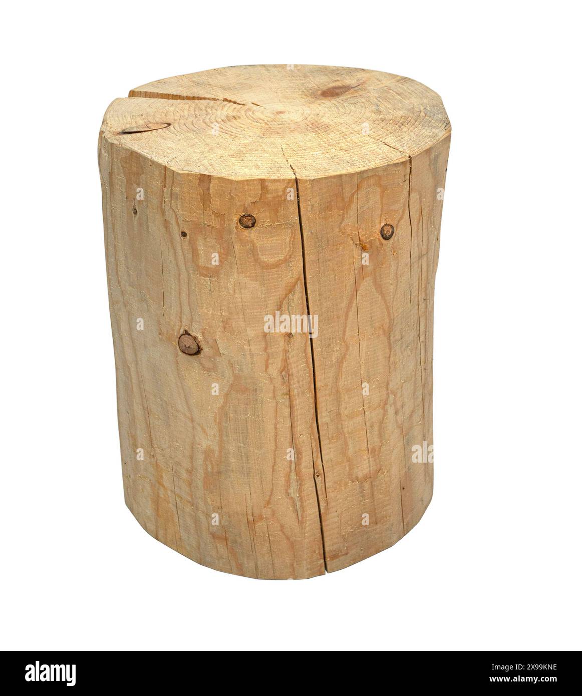 Empty tree trunk to display products. Isolated on white background ...